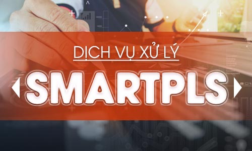 Dịch Vụ Xử Lý SMARTPLS Chỉ Từ 2300K | Uy Tín & Bảo Mật